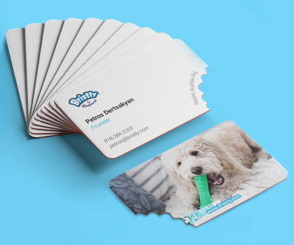 Die Cut Business Cards Printing in Los Angeles | AxiomPrint