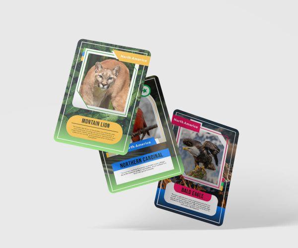 Trading Cards, Custom Trading Card Printing, Collectable Cards